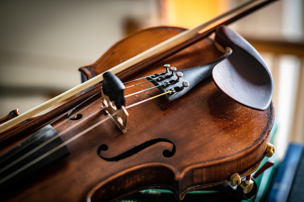 The 15 Best Fiddlers Conventions in the Southeast in 2026 - The ...